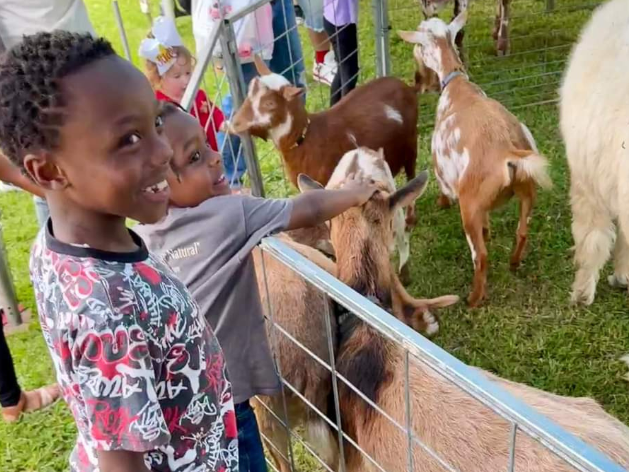 Cajun Cuties Mobile Petting Zoo and Pony Rides - Baton Rouge Parents